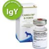 Canglob D Forte – The Veterinary Medicine